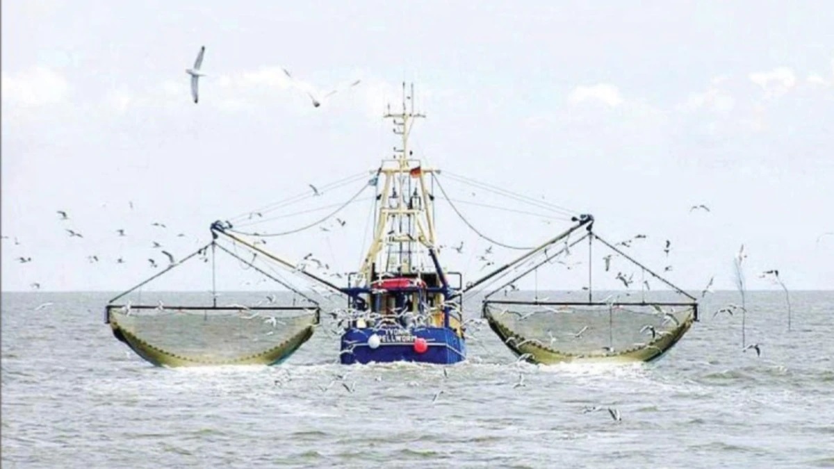 China dominates in ‘Fishy’ business, India not far behind – Incubees